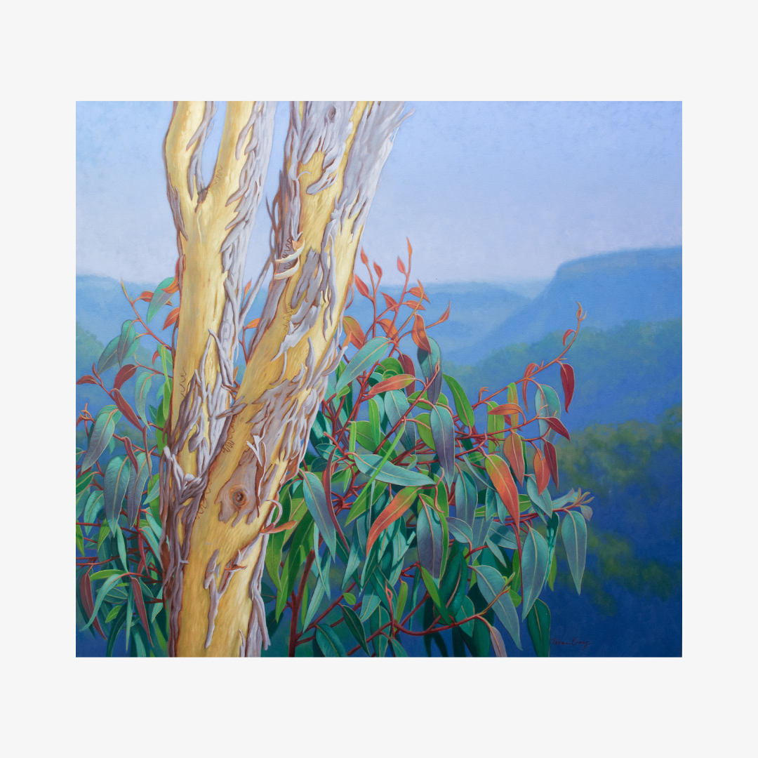 Rejuvenation, Blue Mountains, 2025 – Audrey Fine Art